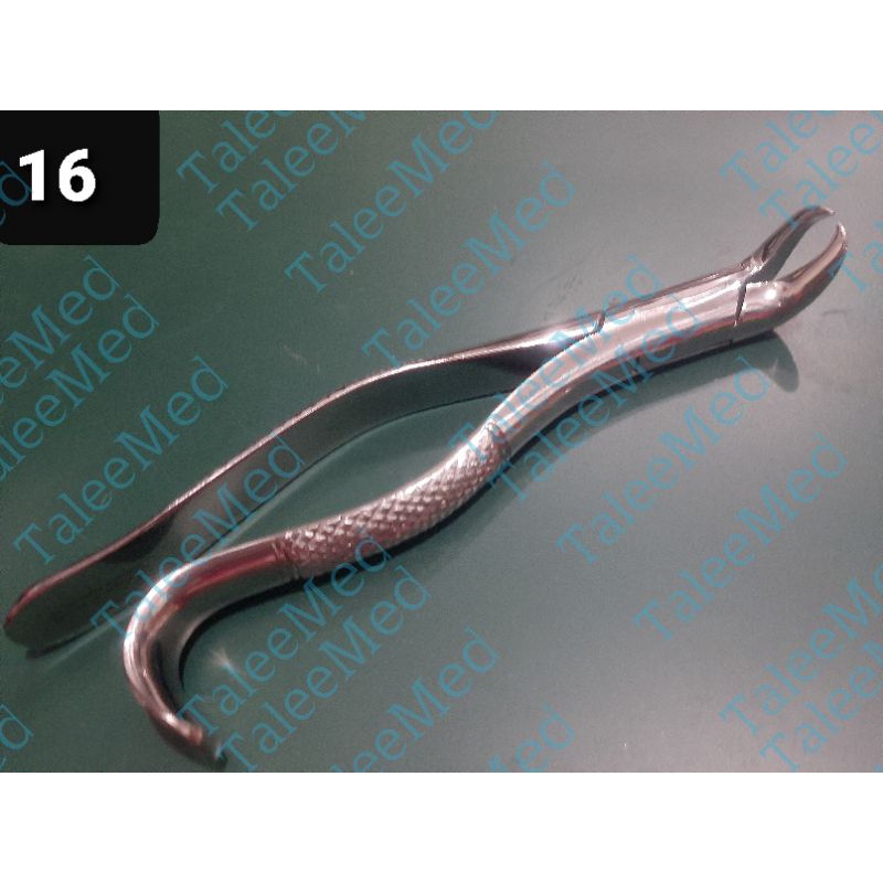 DENTAL EXTRACTION FORCEPS ADULT / PEDIA (SK) FELDON | Shopee Philippines