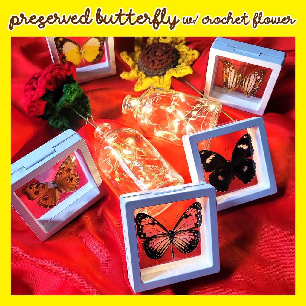 Real Preserved Dried Butterfly in Frame and Crochet Sunflower or Rose ...