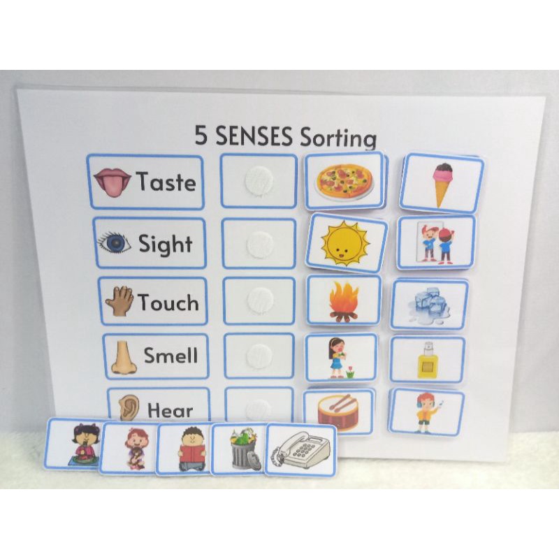 5 Senses Sorting Busy Book Laminated Activity for Childrens Learning ...