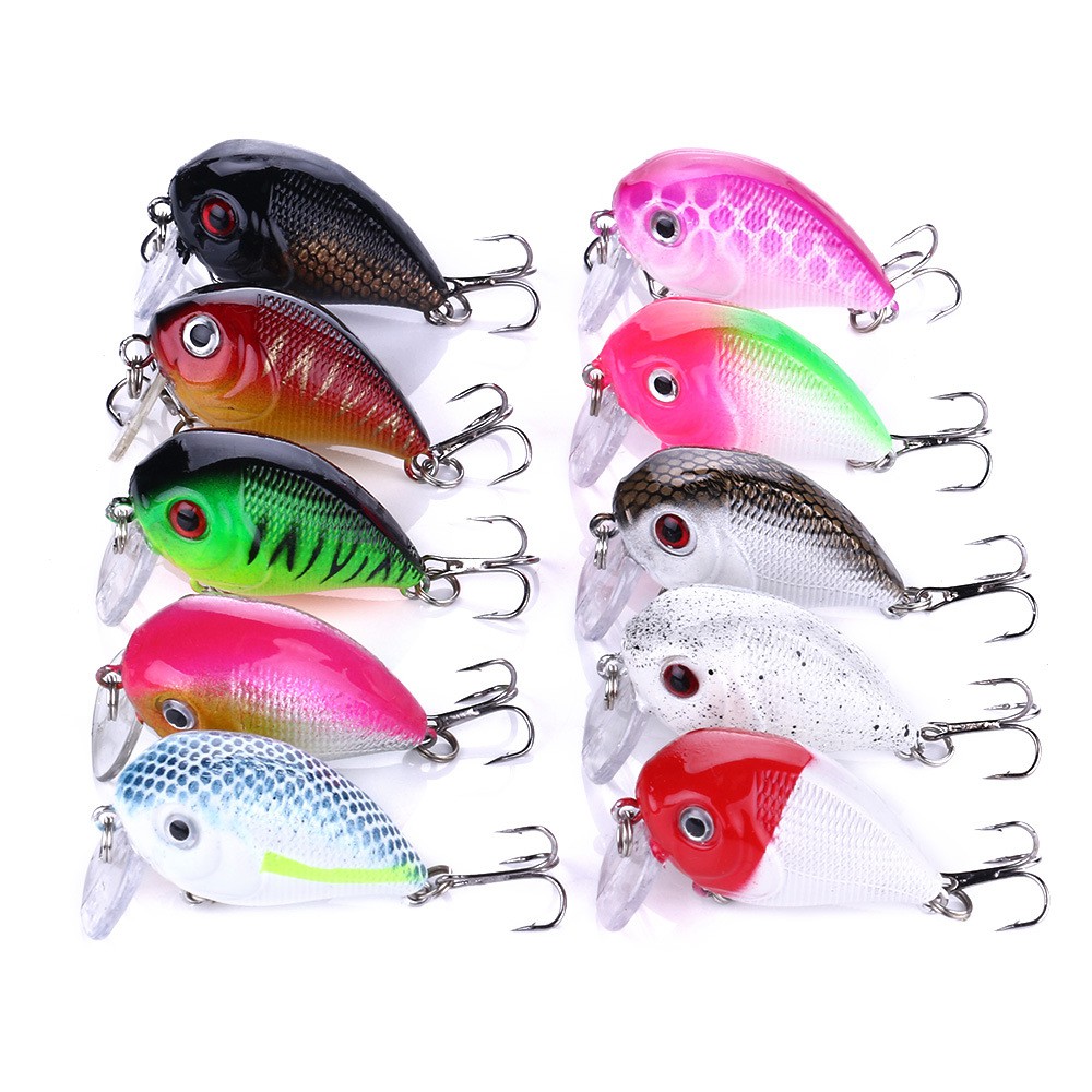 Super Sensitive Humpback Whales Super Sensitive Fish Snakehead Fish ...