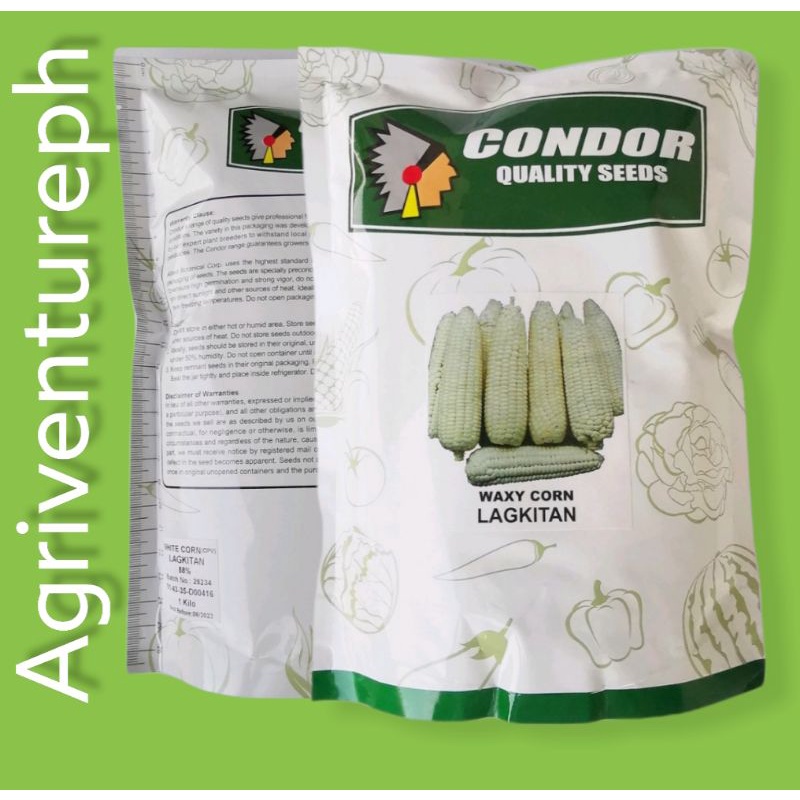 LAGKITAN CORN (KILO) WHITE WAXY CORN BY CONDOR SEEDS | Shopee Philippines
