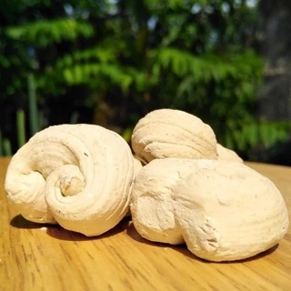 balikutsa - Best Prices and Online Promos - Jun 2024 | Shopee Philippines