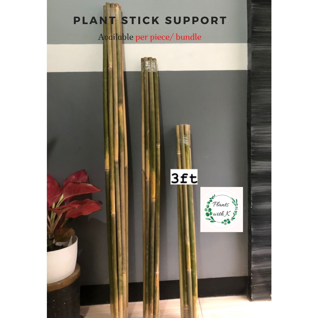 10+1FREE‼️ Plant Support, Plant Stick, Plant Stake, Base, Bamboo fence ...