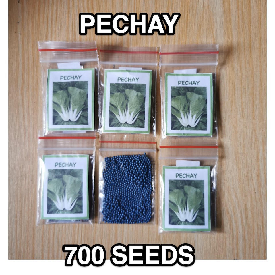 Pechay seeds 800s(gmo) and purple bokchoy seeds | purple pakchoi seeds ...