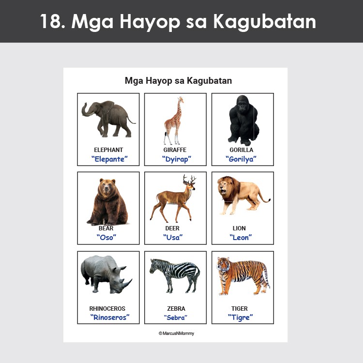 Filipino/Tagalog Charts (Alphabet, Numbers, Colors, Shapes) - Laminated ...
