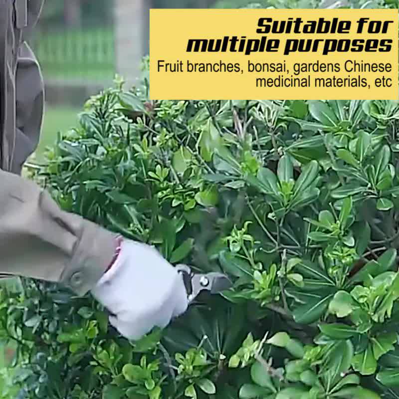 Garden Pruning Shears Plant Cutter Scissors Stainless Plant Scissor ...