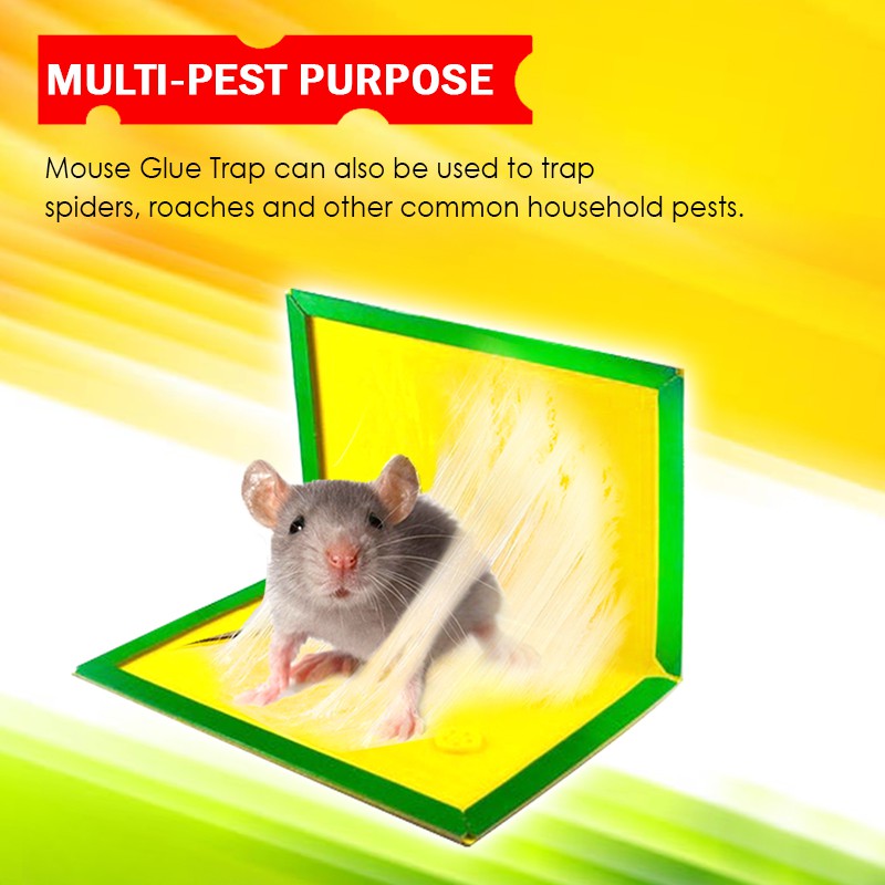 Mouse Sticky Mice Rodent Glue Board Bait Trap For Spiders, Roaches And ...