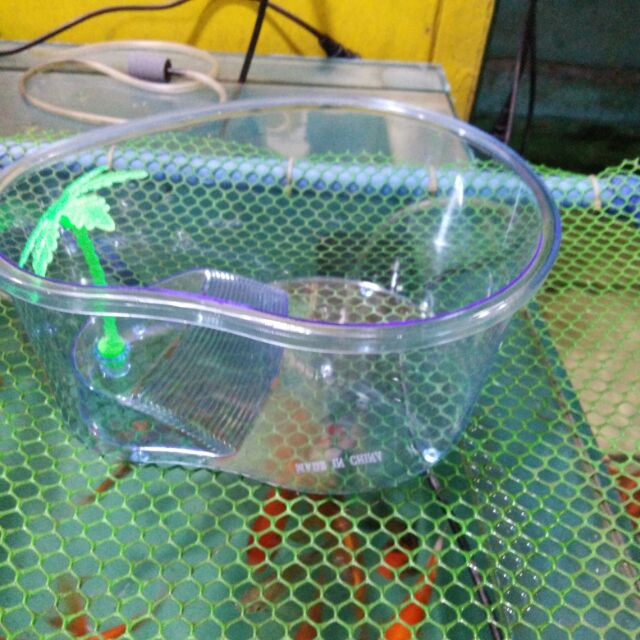 Plastic turtle tub small and large | Shopee Philippines