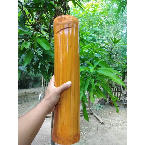 Alkansya bamboo coinbank( Jumbo size ) | Shopee Philippines