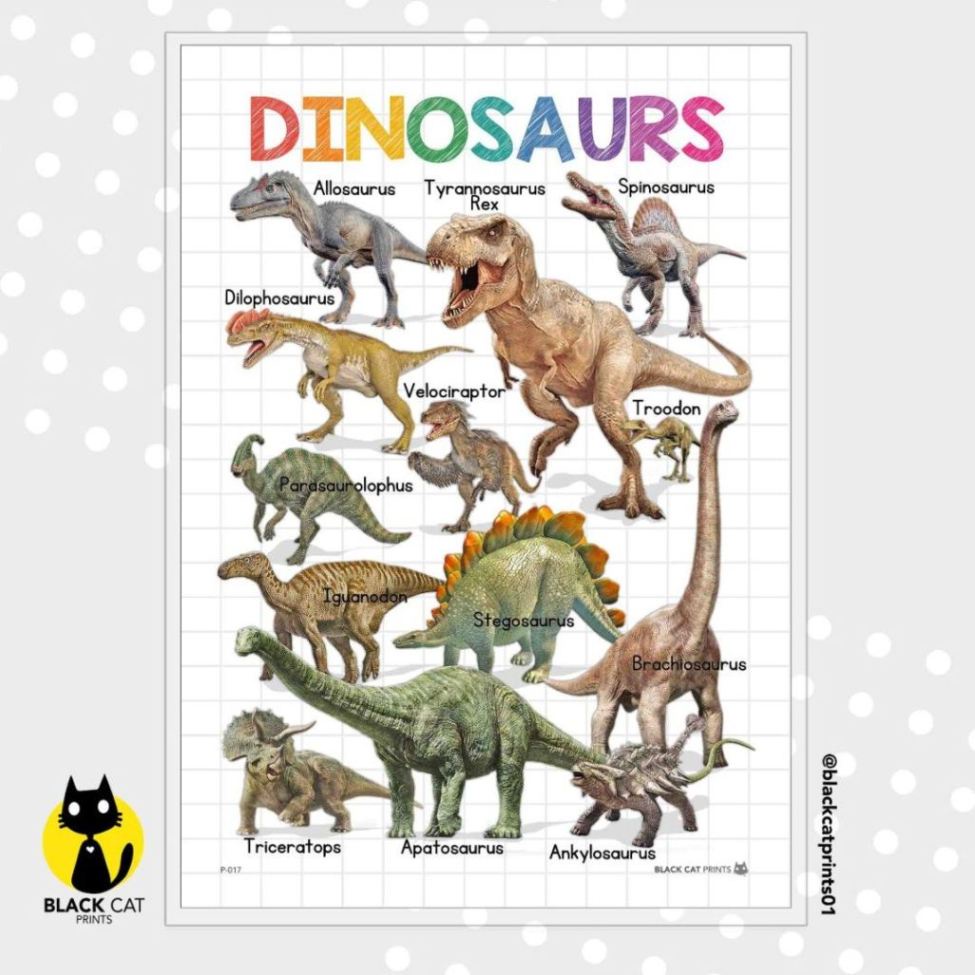Dinosaurs Educational Chart Poster (High Quality Print / A4 Size ...