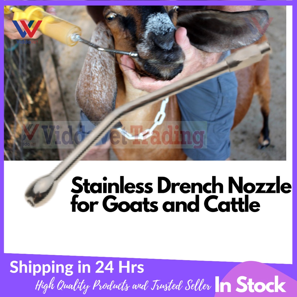 Viddavet Oral drencher nozzle stainless steel for drenching piglets ...