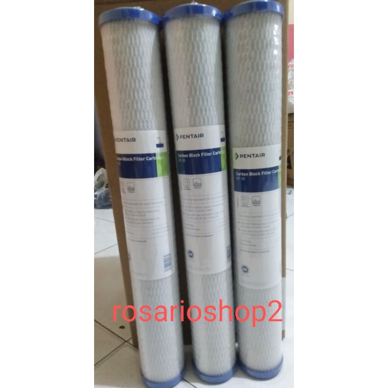 Pentek EP20. carbon block filter PENTAIR water filter | Shopee Philippines