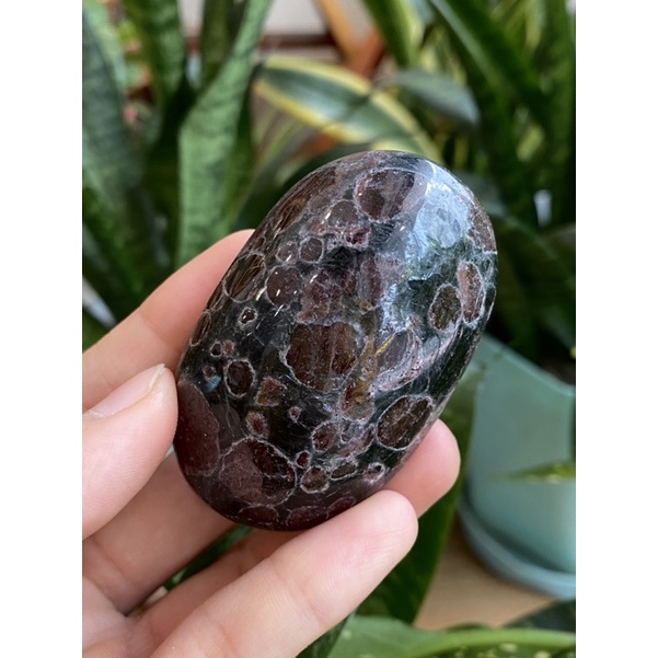 Handheld Astrophyllite Garnet, Natural Stone Palm, Energy Stone ...