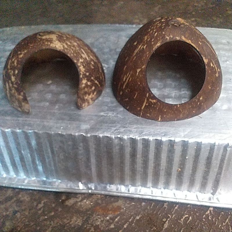 Hamster and Fish hide coconut shell. | Shopee Philippines
