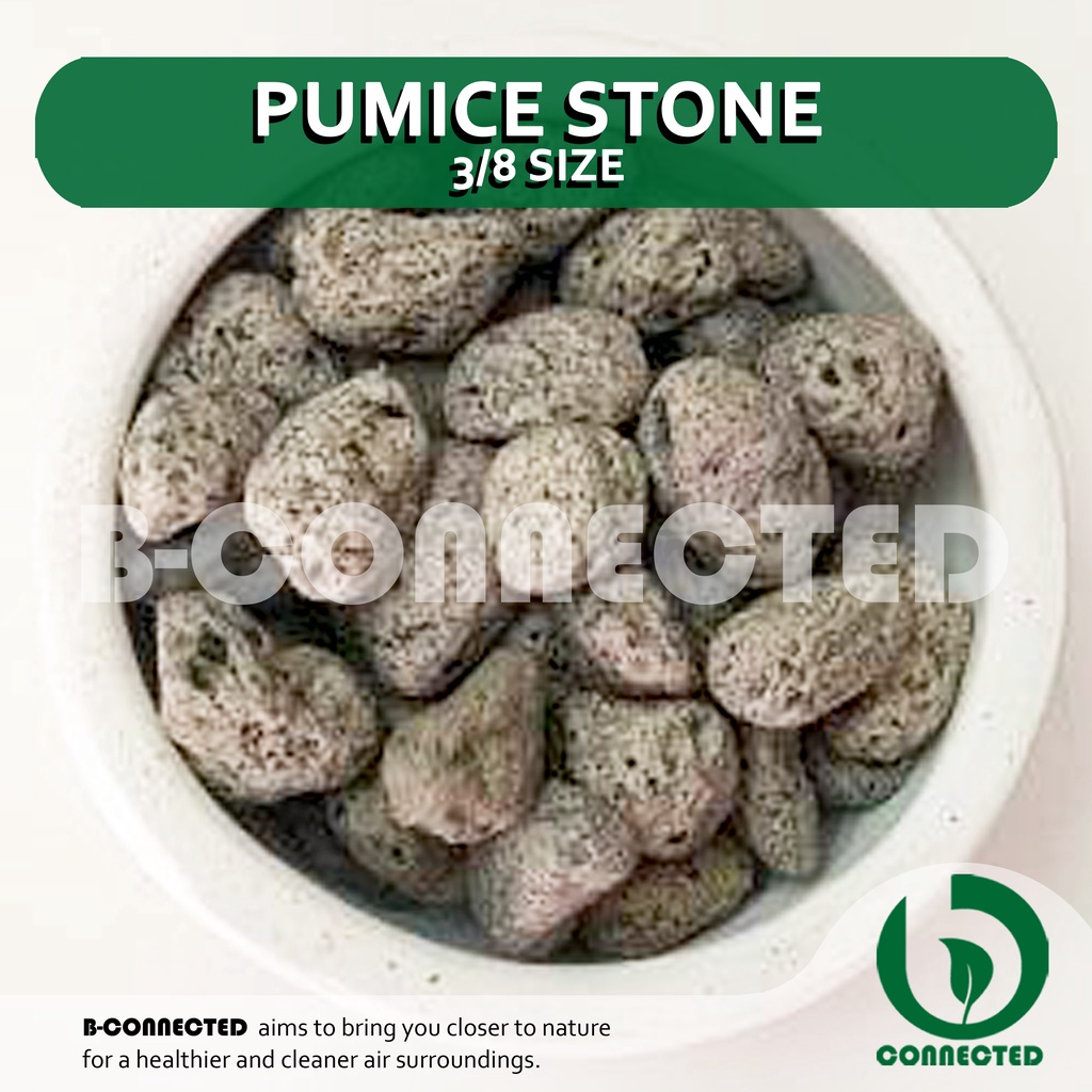 PUMICE STONE MEDIUM SIZE 1 KILO - GROWING MEDIA / GARDEN / AQUARIUM ...