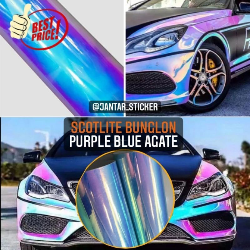 LATEST Premium Chameleon Scotlite Chameleon Sticker Chameleon Scotlet ...