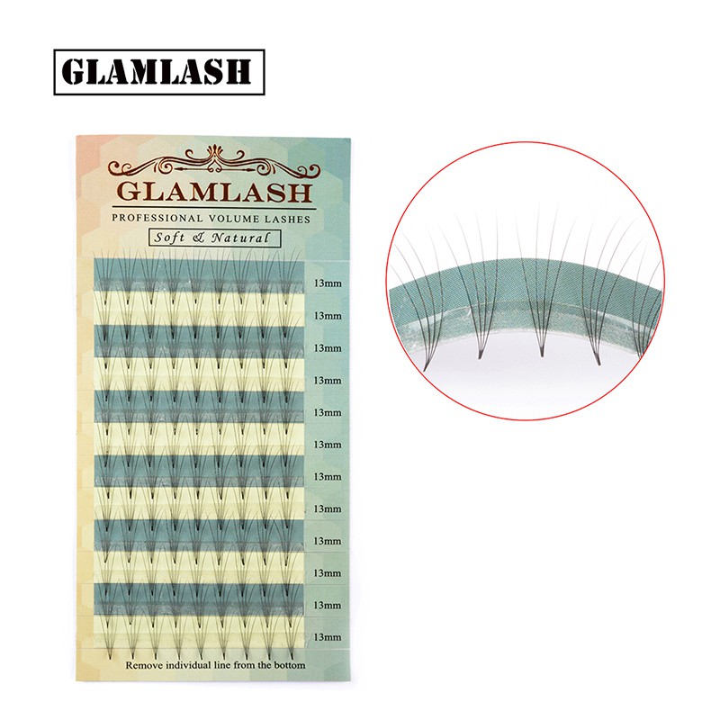 2D 3D 4D 5D 6D Russian Volume Mink Eyelash Extension Premade Fan false ...