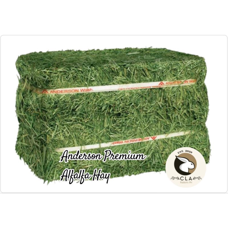 PREMIUM Quality Alfalfa Hay (long strand) in Resealable Plastic ...