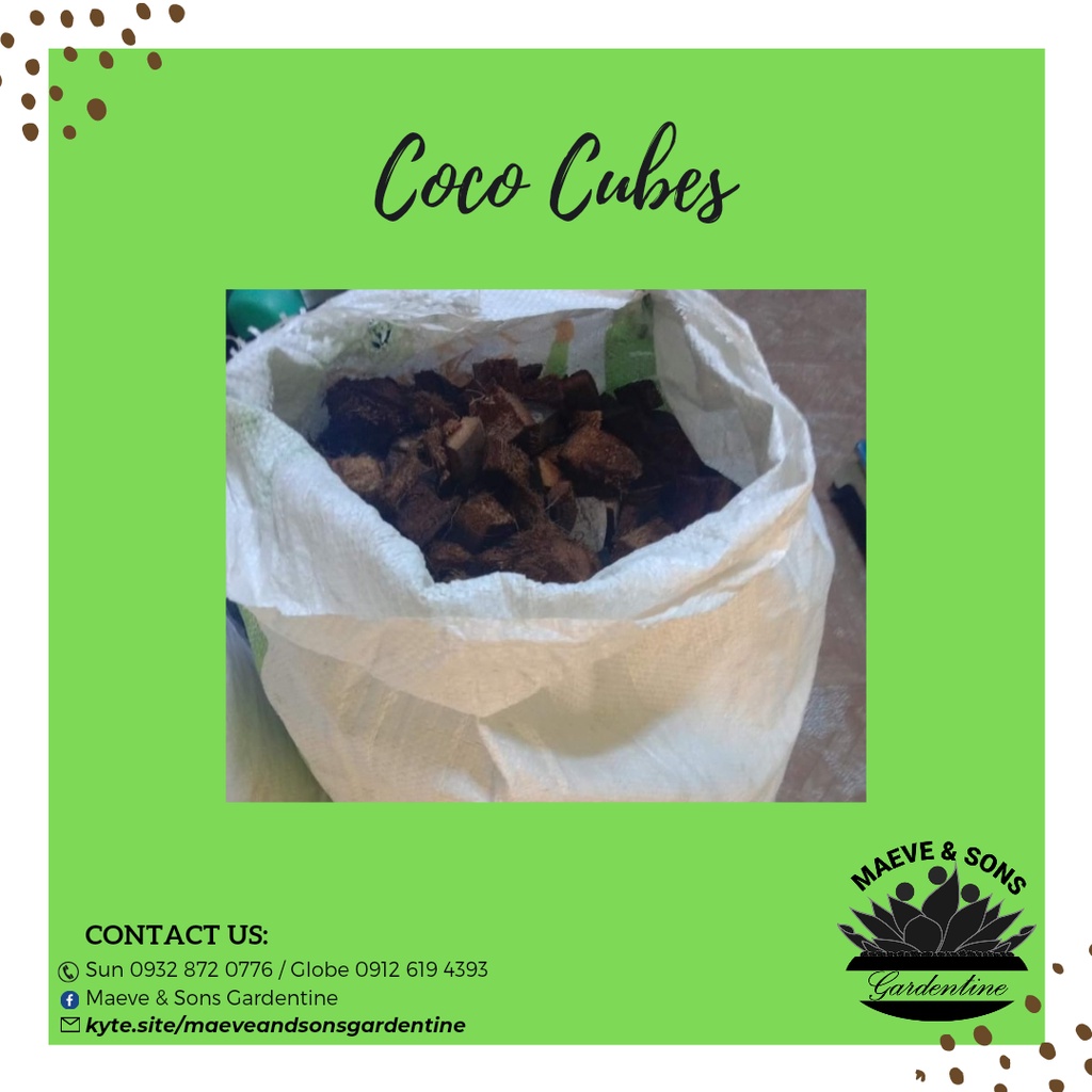 Coco cubes for Plants, 1 kilo pack, pure, organic garden supplies for ...