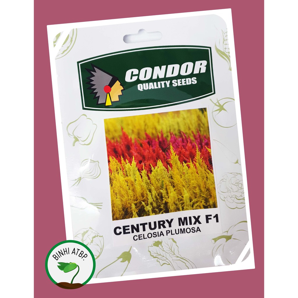 Condor Celosia Plumosa Century Mix F1 Flower Seeds (40 Seed Pack ...