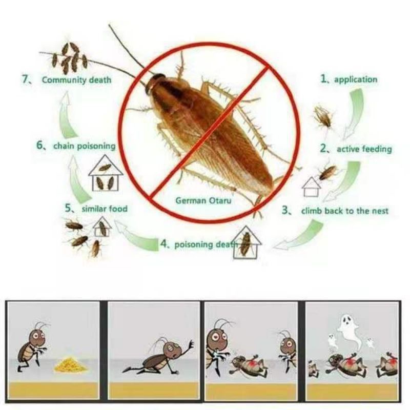 50pcs effective ipis powder killer cockroach killing bait roach ...