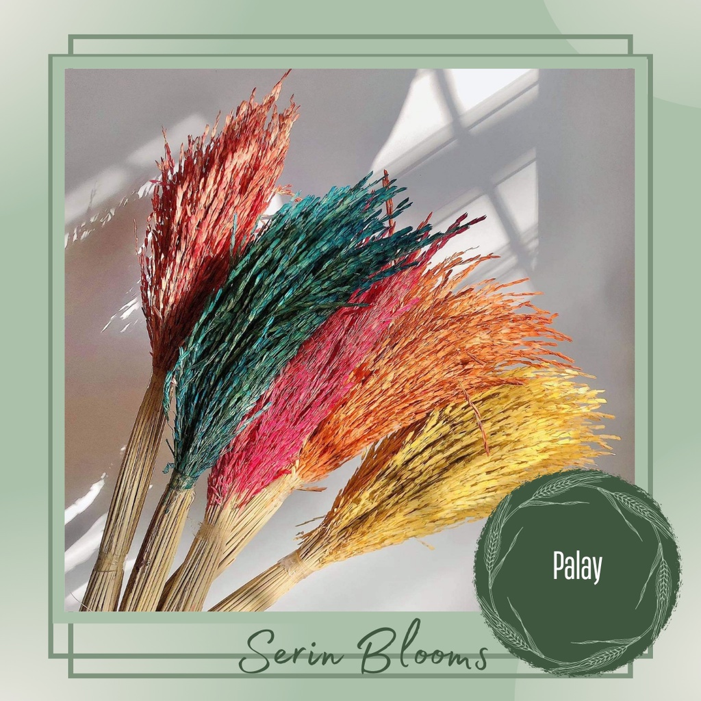 Local Dried Palay (sold per bundle) | Shopee Philippines