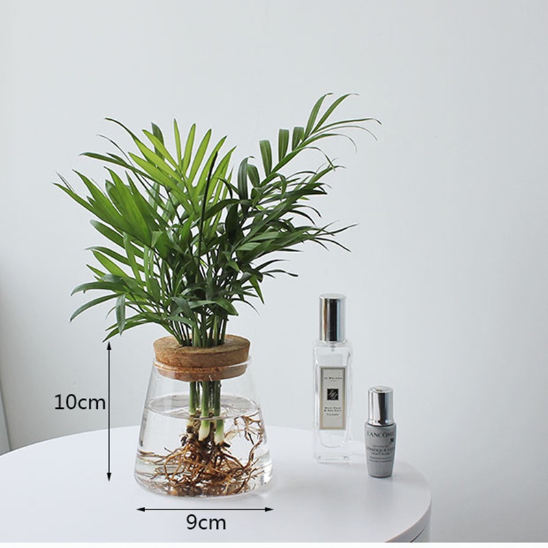 Sunrich Nordic Minimalist Transparent Hydroponic Plant Flower Vases ...