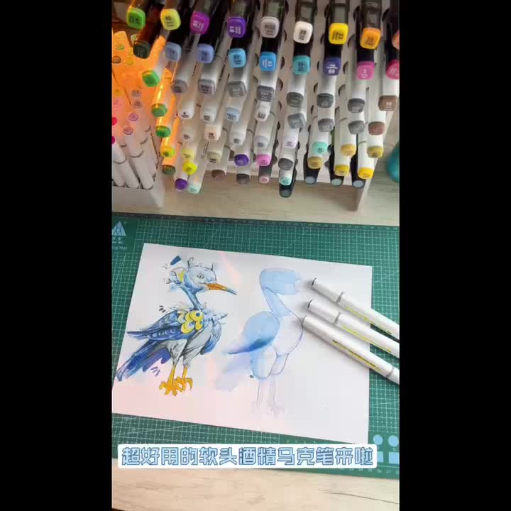 Ginflash Brush&Fine Tip comic Art Marker Pen Brush Pen Sketch Alcohol ...