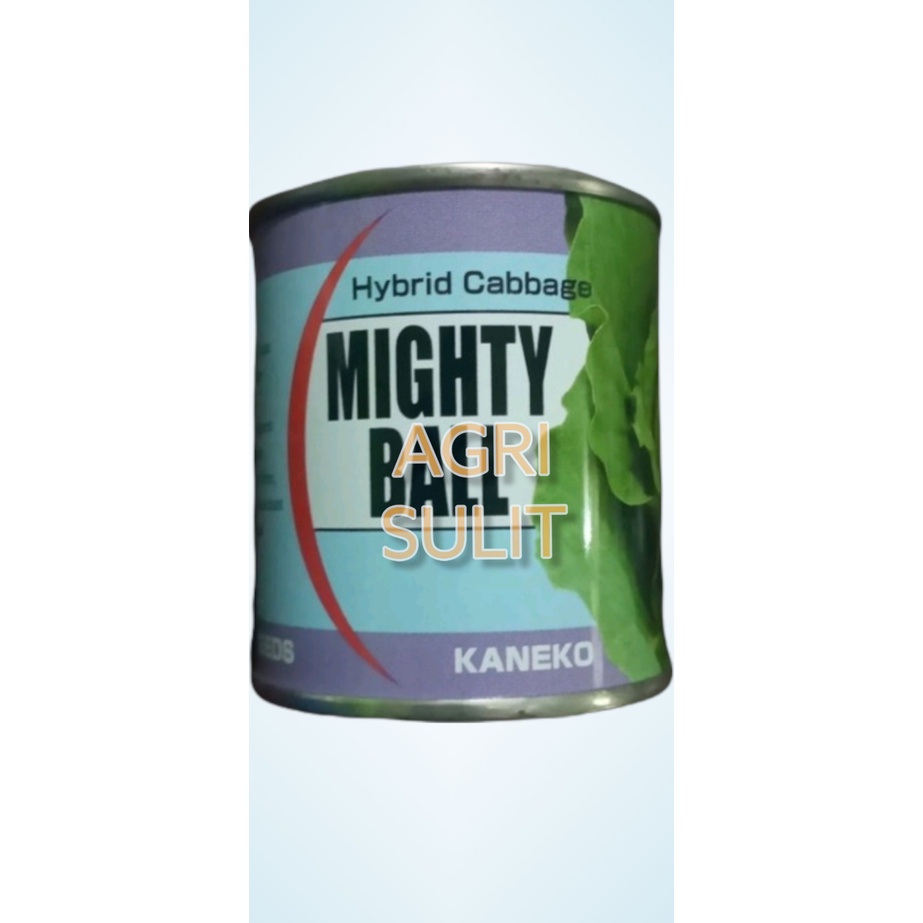 MIGHTY BALL F1 HYBRID CABBAGE 50 GRAM CAN (KANEKO) | Shopee Philippines