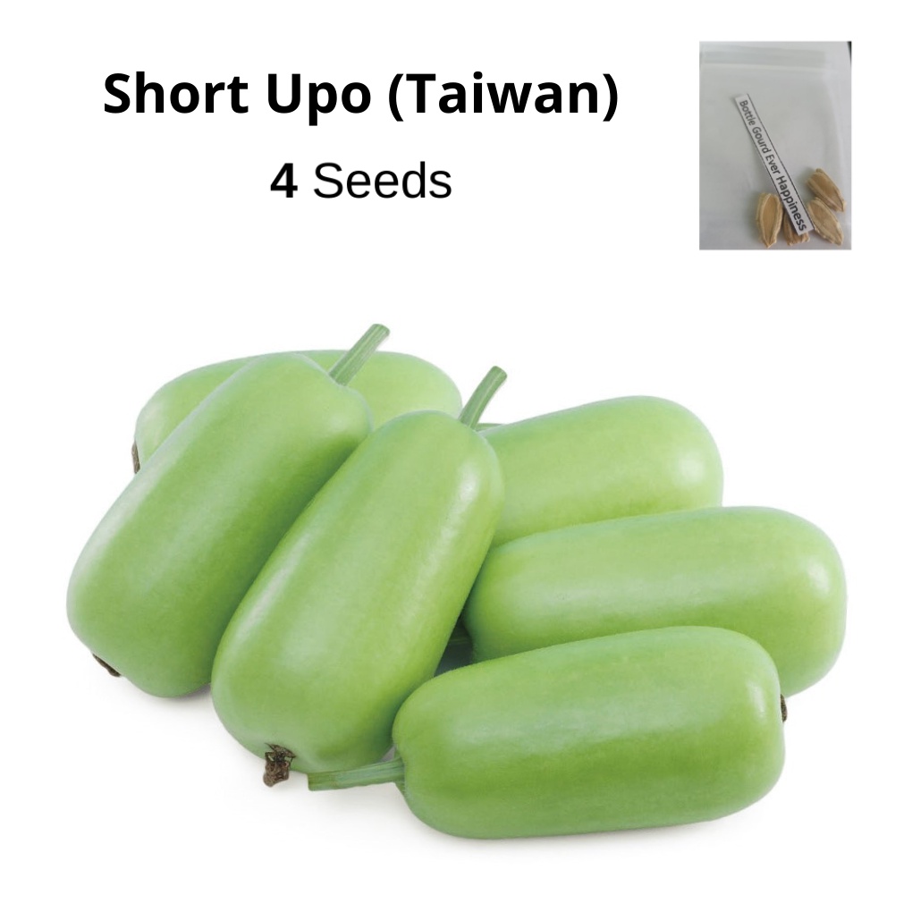 Short Upo (Taiwan) | Hybrid Seeds | Shopee Philippines