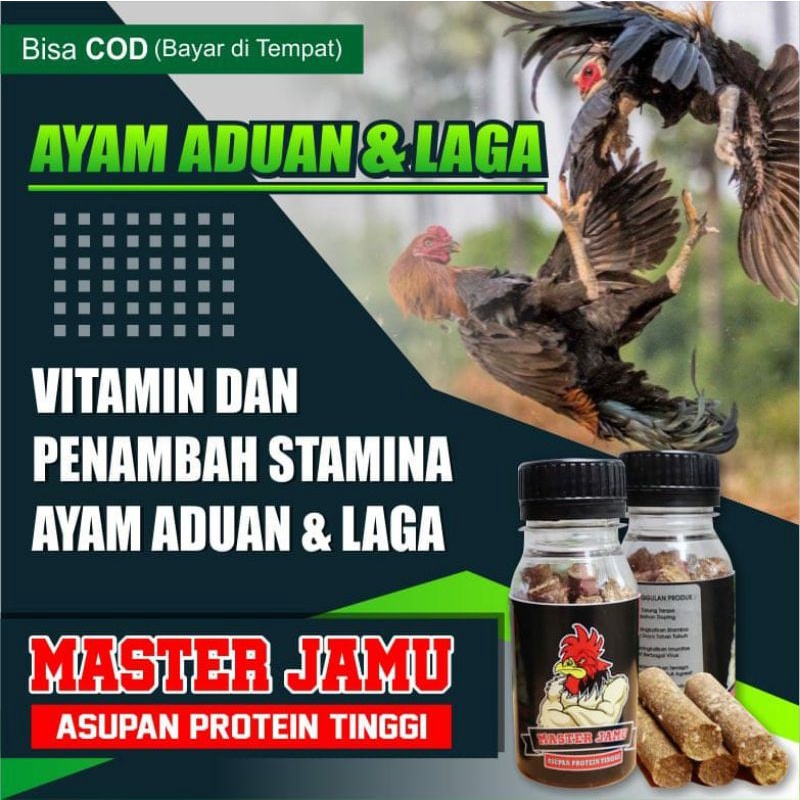 Master Jamu Supplement Chicken Fighting bangkok Chicken Fighter ...