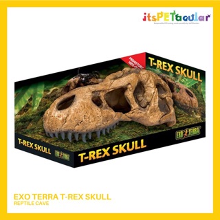 Exo Terra T-Rex Skull, Primate Skull, Crocodile Skull or Buffalo Skull ...
