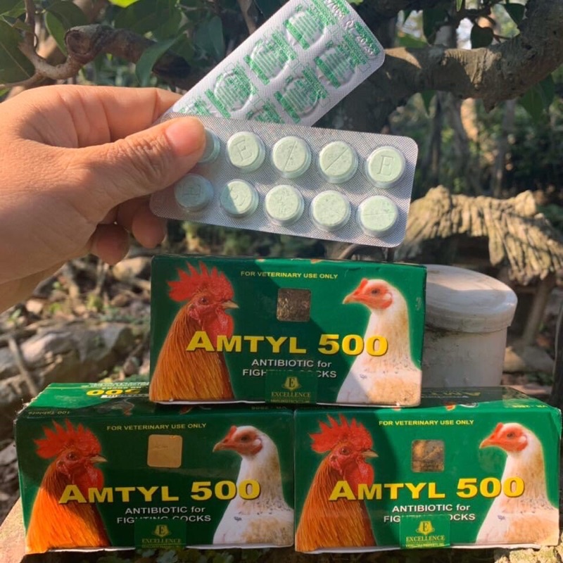 AMYTYL 500 (sold per box) | Shopee Philippines