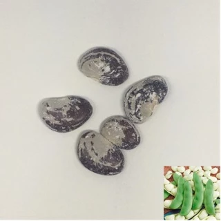 Shop patani for Sale on Shopee Philippines