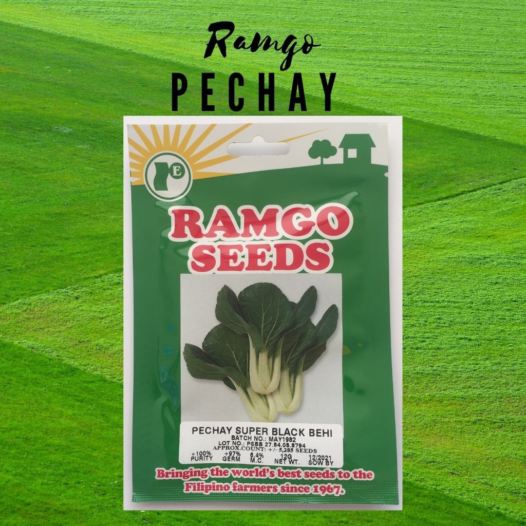 Ramgo LEAFY VEGETABLES (Lettuce, Pakchoi, Spinach, Pechay, Mustasa ...