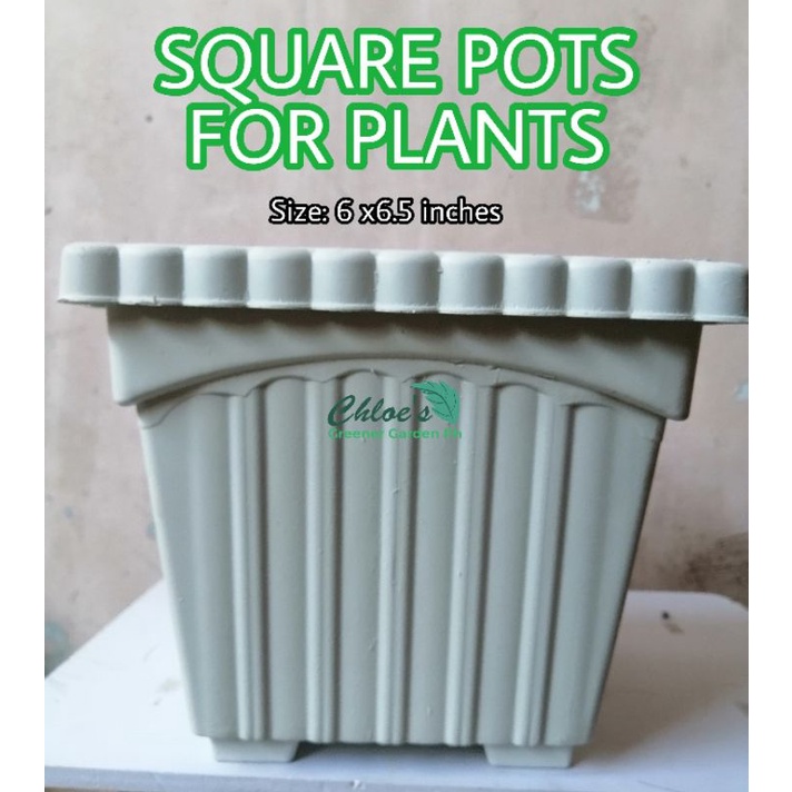 Square Pots for plants planters | Shopee Philippines