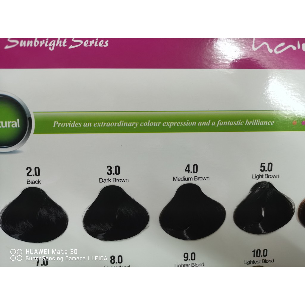 Sunbright Series Hair Color cream 100ml | Shopee Philippines