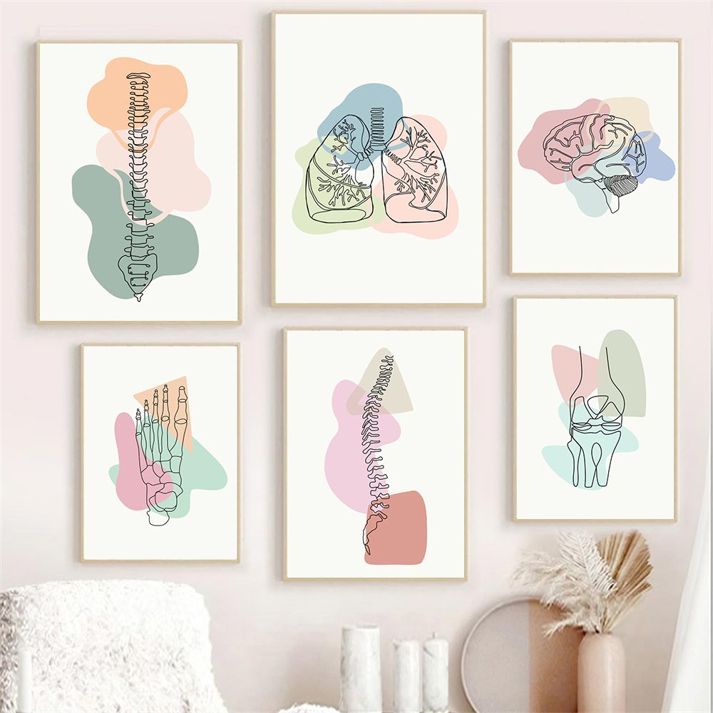Frames Human Anatomy Skeleton Wall Art Poster Sternum Spine Foot Print ...