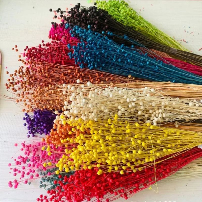 Dried Acacia Bean Preserved Dried Flowers Gift Wedding Party Home ...