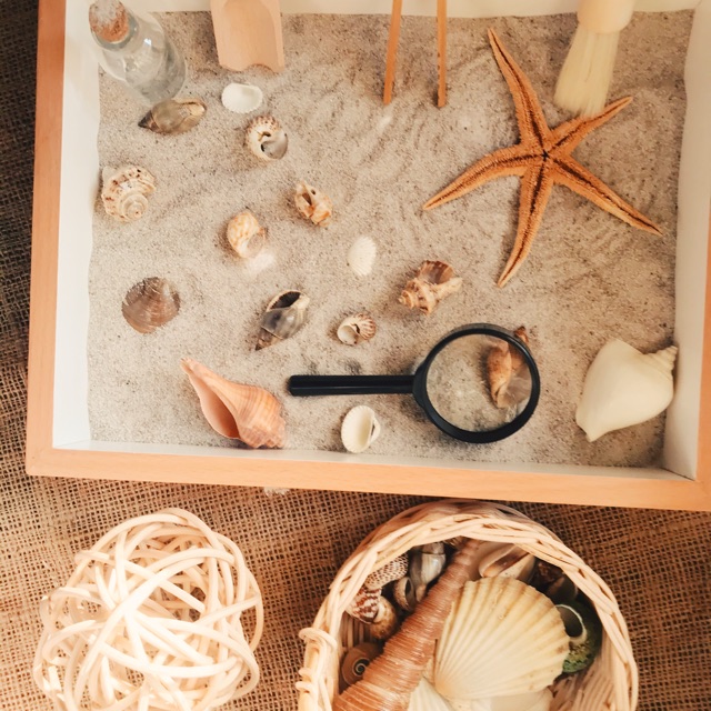 Exclude box shell sensory bin | Shopee Philippines