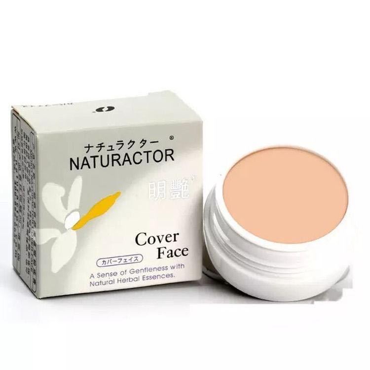 CHE Naturactor Cover Face Foundation New Naturactor Cover Face ...