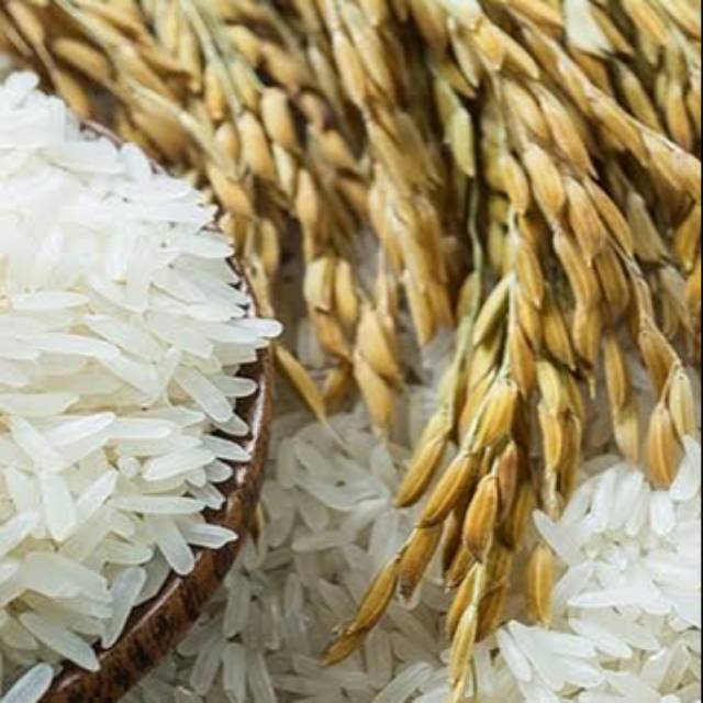 Rice 1000 Gr | Shopee Philippines