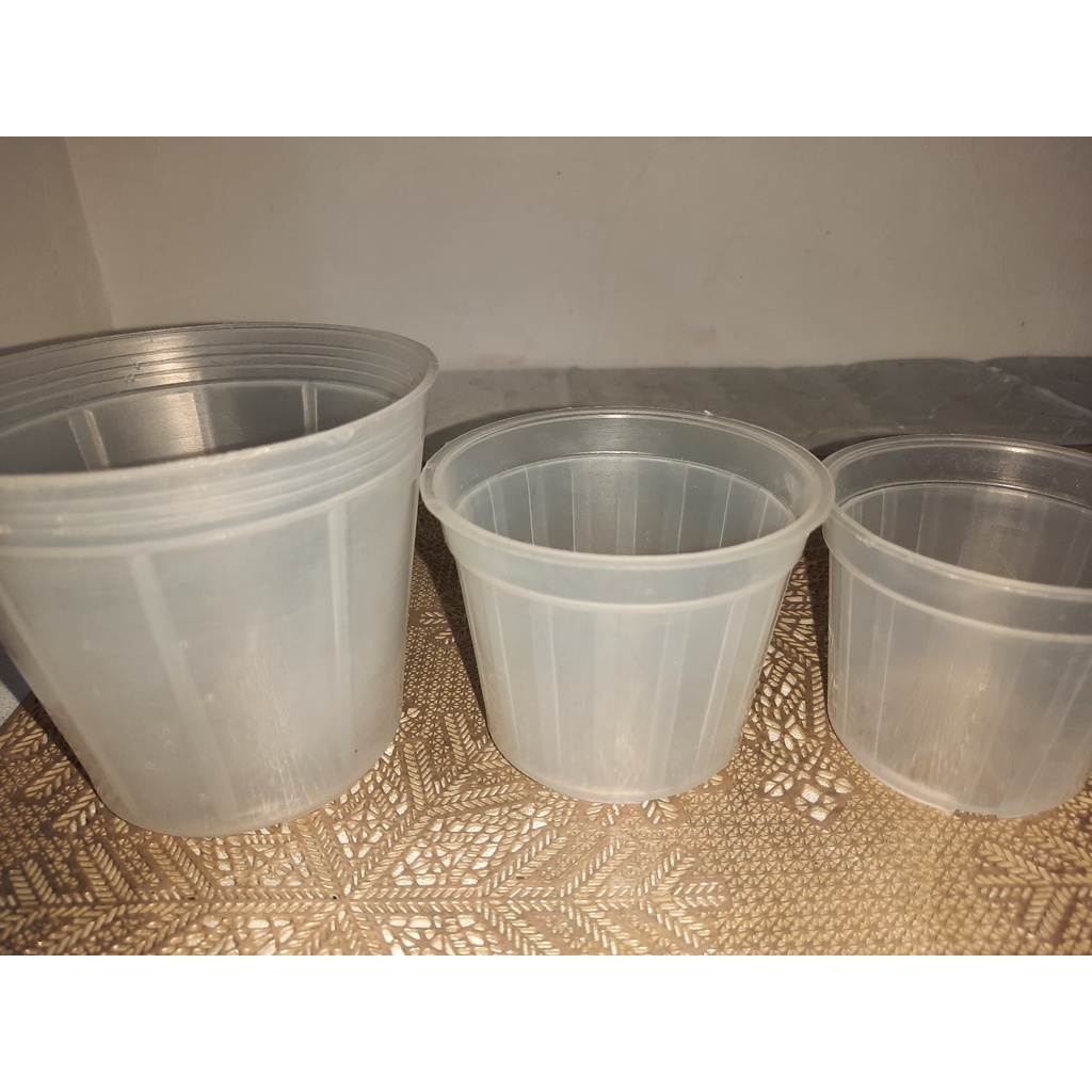 transparent succulent / cactus / seedling pots for plants - for root ...