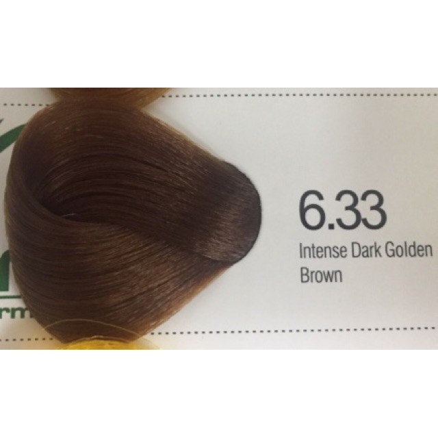 SUNBRIGHT SERIES HAIR COLOR/COLOURANT (DARK GOLDEN BROWN 6.33) | Shopee ...