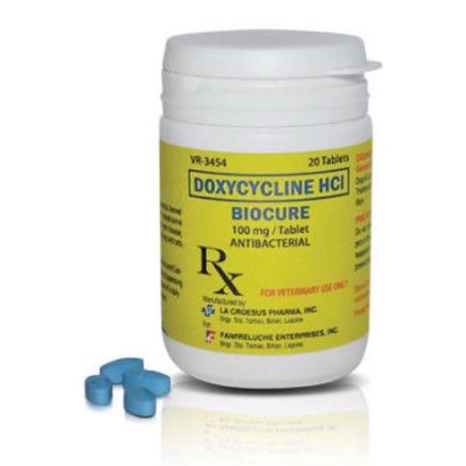 Biocure Doxycycline 20pcs tablet | Shopee Philippines