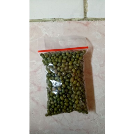 Repack 50 Grams Of Green Beans Packaging For Collage Needs | Shopee ...