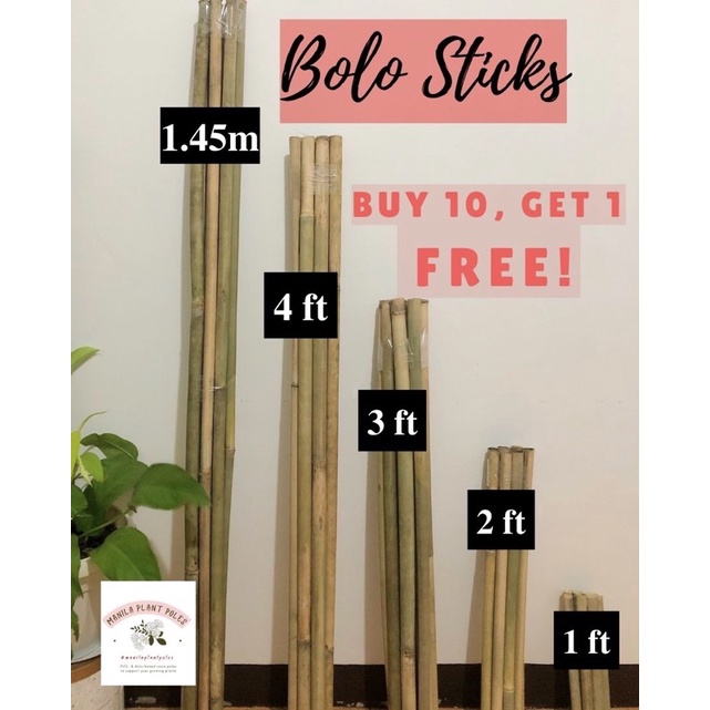 Bamboo Stick (10+1 FREE‼️) Bolo Sticks, Plant Support, Plant Stick ...