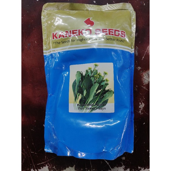 FLOWERING PECHAY TSOI SUM 1 KILO | Shopee Philippines