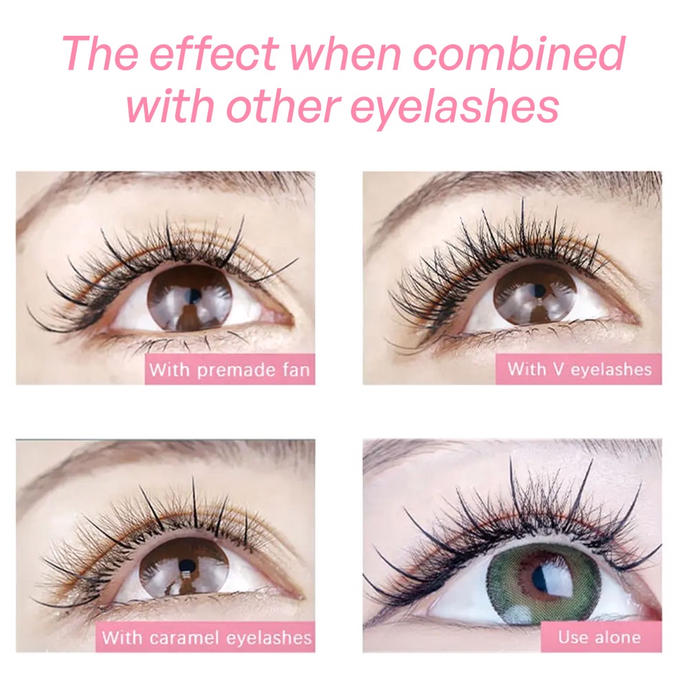 Praeclarus Wet Look Eyelashes 5D Flora Eyelash Premium Materials ...