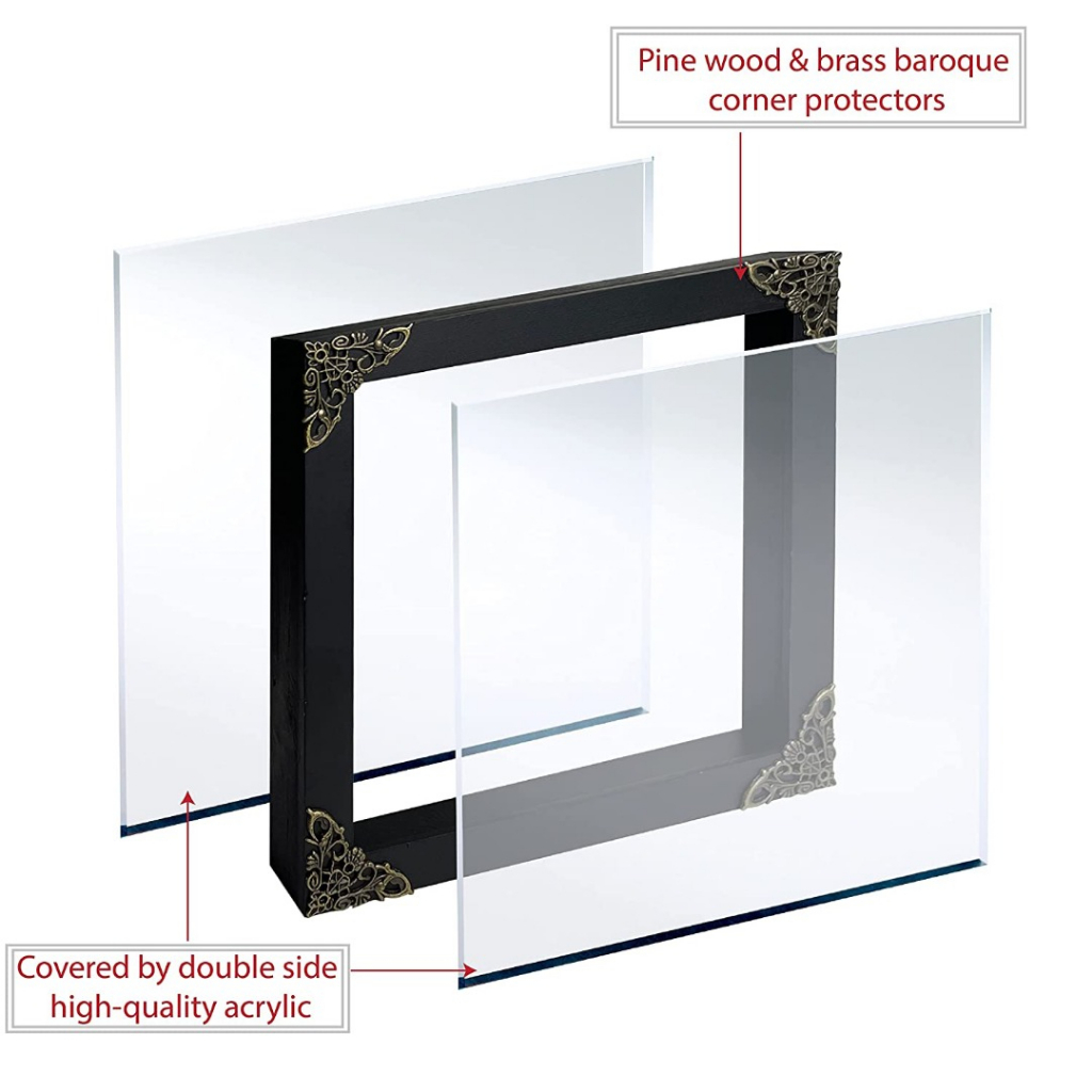 Butterfly 3D Floating Shadow Box Specimen Display Frame Wall Hanging ...